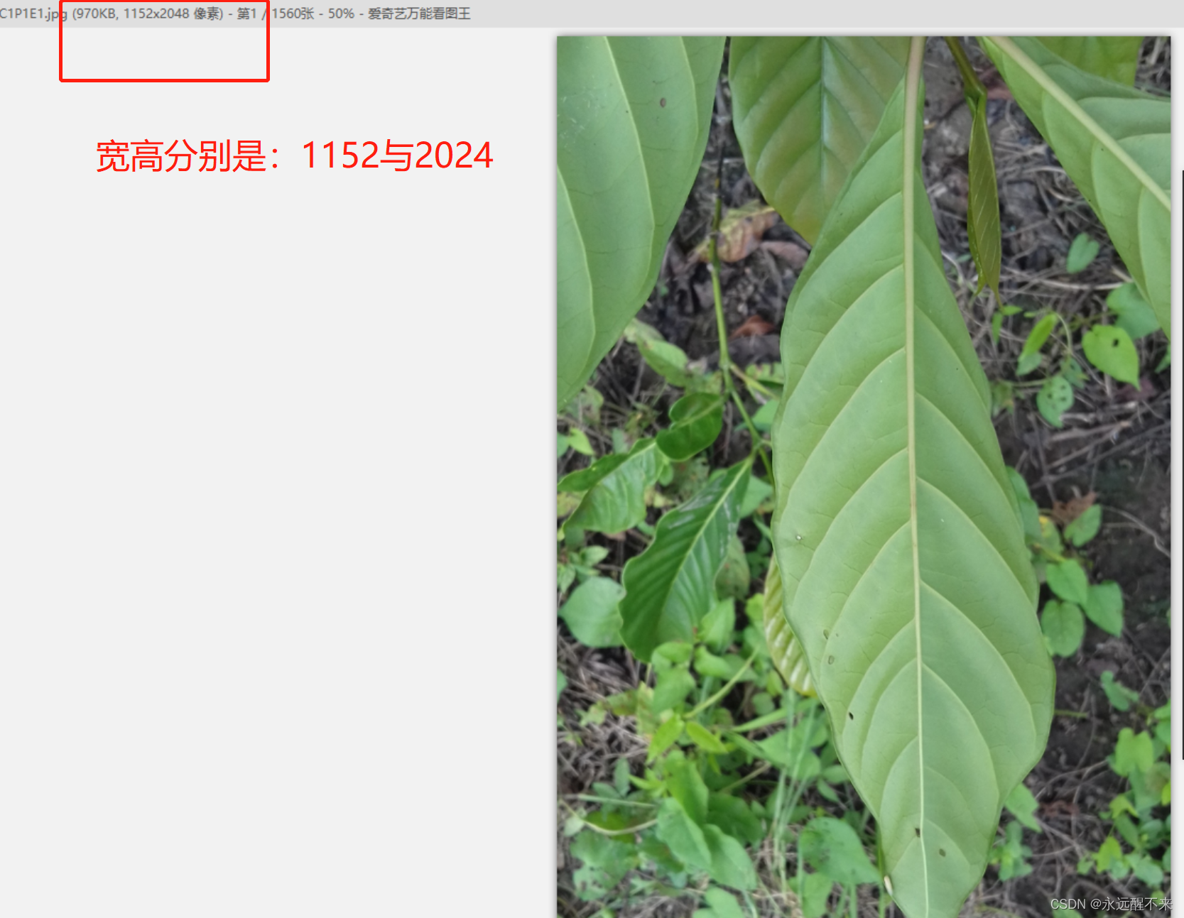 获得图像尺寸Bug：Image.open(image_path).size与cv2.imread()_image.open size-CSDN博客