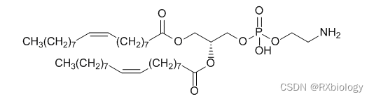 DOTA-PEG-DOPE,DOTA-PEG-DMPE、DPPE、 大环配体DOTA修饰PE磷脂-CSDN博客