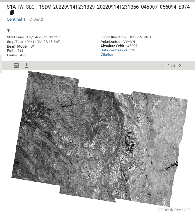 ASF之SAR云计算（成果包括RTC GAMMA、InSAR GAMMA、autoRIFT）_asf sar训练处理器-CSDN博客