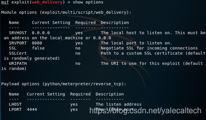 内网渗透十：MSF：web_delivery模块_web delivery-CSDN博客