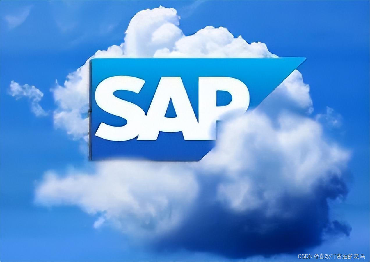 SAP ERP系统里的那些核心主数据_sap系统核心-CSDN博客