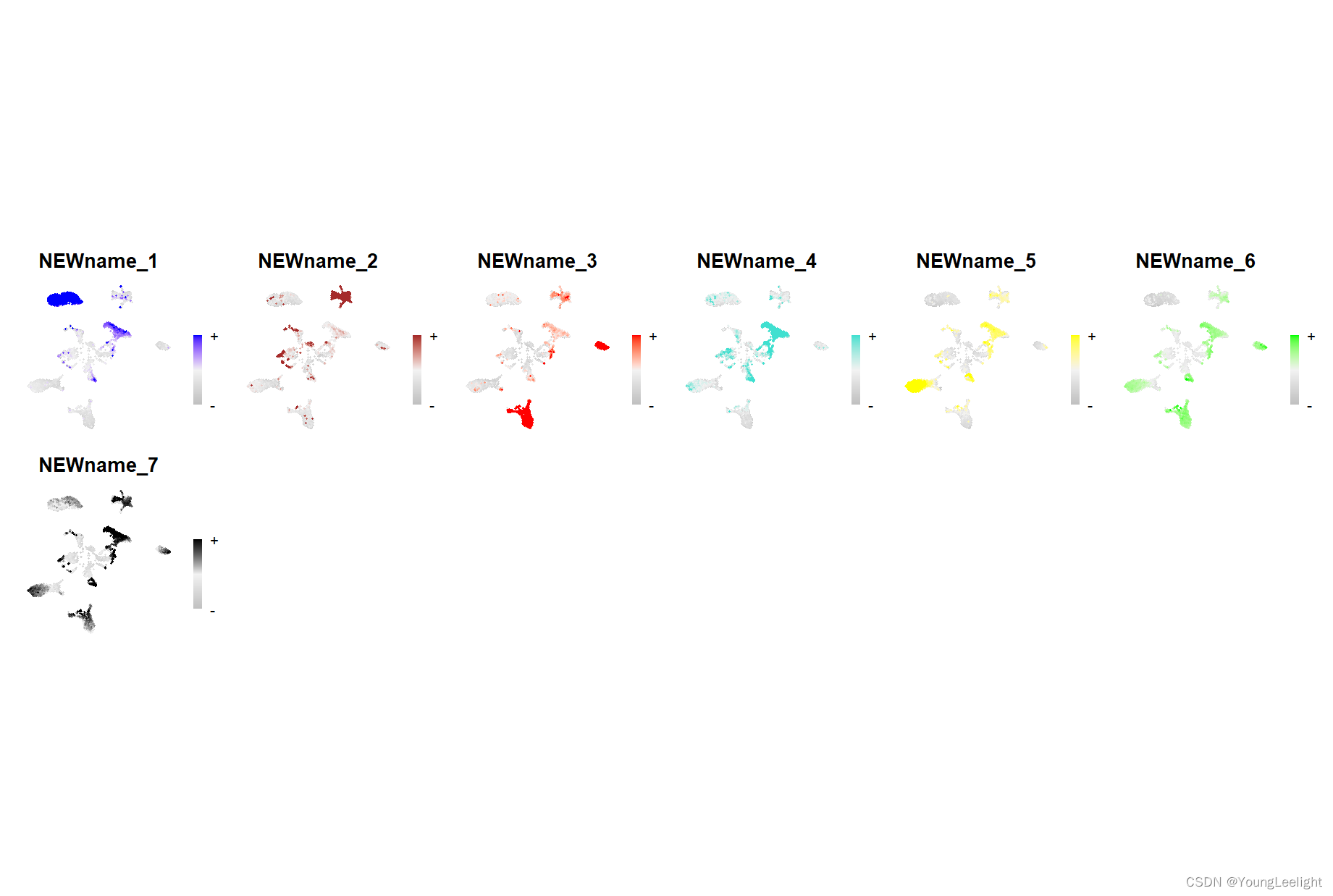 scwgcna官网教程中英文实战高维wgcna分析 单细胞wgcna分析-CSDN博客