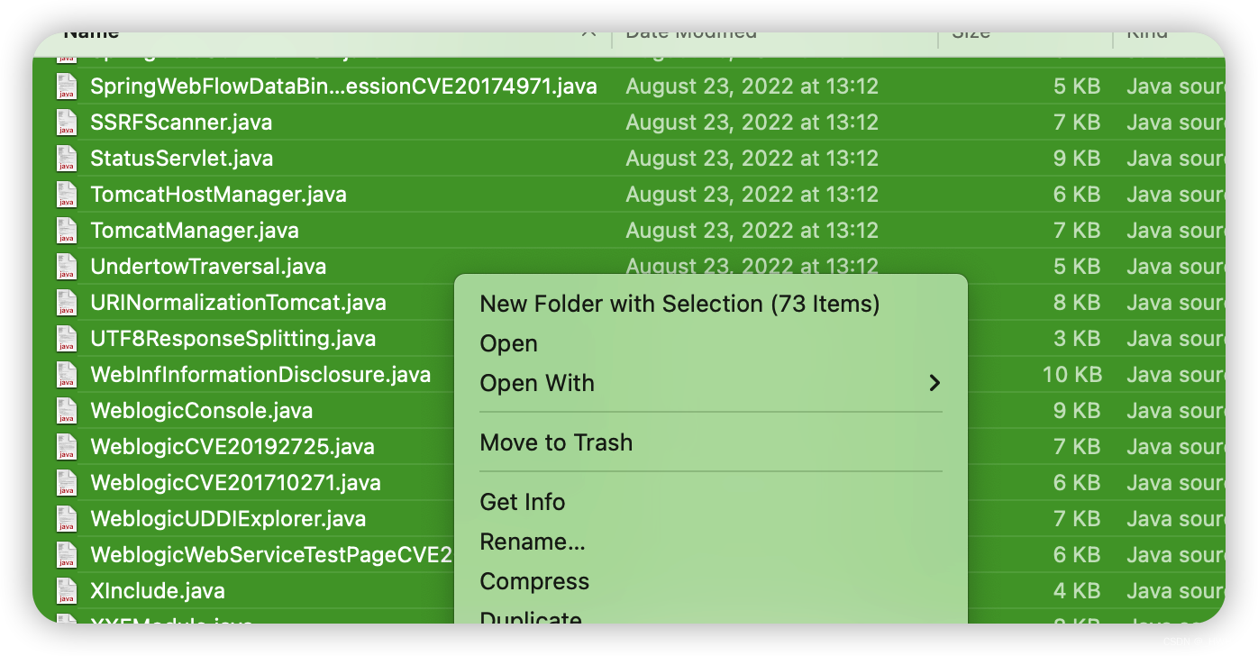 【BurpSuite】插件开发学习之J2EEScan - 汇总篇（主动+被动1-76）-CSDN博客