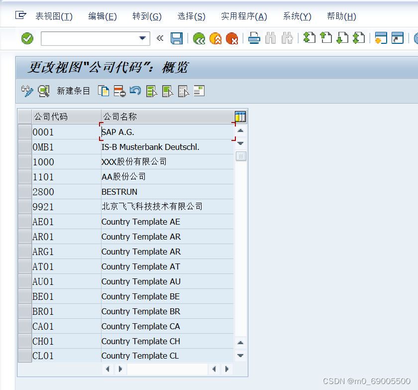 SAP定义公司代码_sap 公司代码-CSDN博客