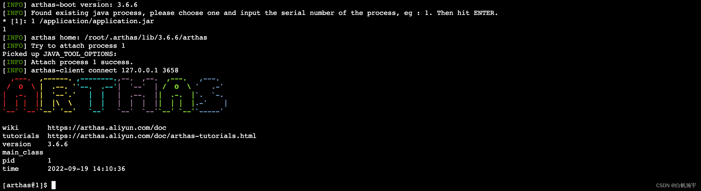 arthas怎么在容器中配置_arthas pod-CSDN博客