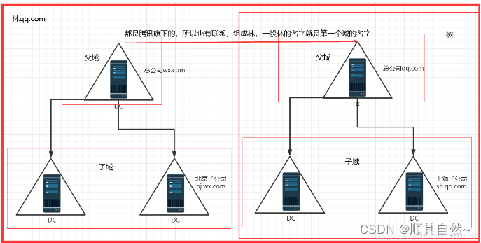 AD域的详细介绍-CSDN博客