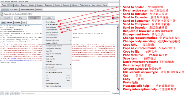 Burp Suite功能详解——proxy模块_tls pass through-CSDN博客