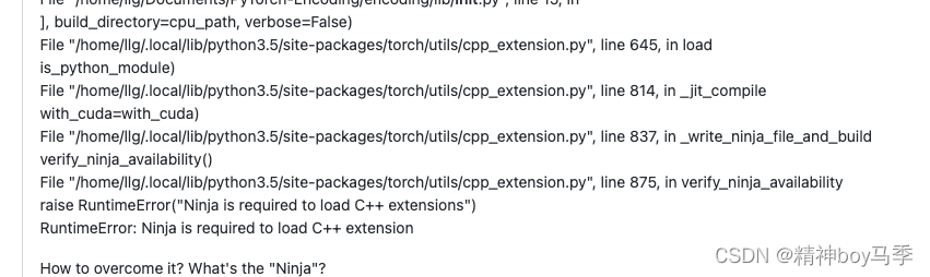 解决pip install ninjia 后，依旧报错的问题_pip install ninja-CSDN博客