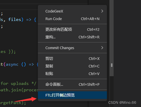 vscode 插件开发：右键菜单定制 & 预览视图 & HTML/FTL/PDF 预览_vscode右侧视图-CSDN博客