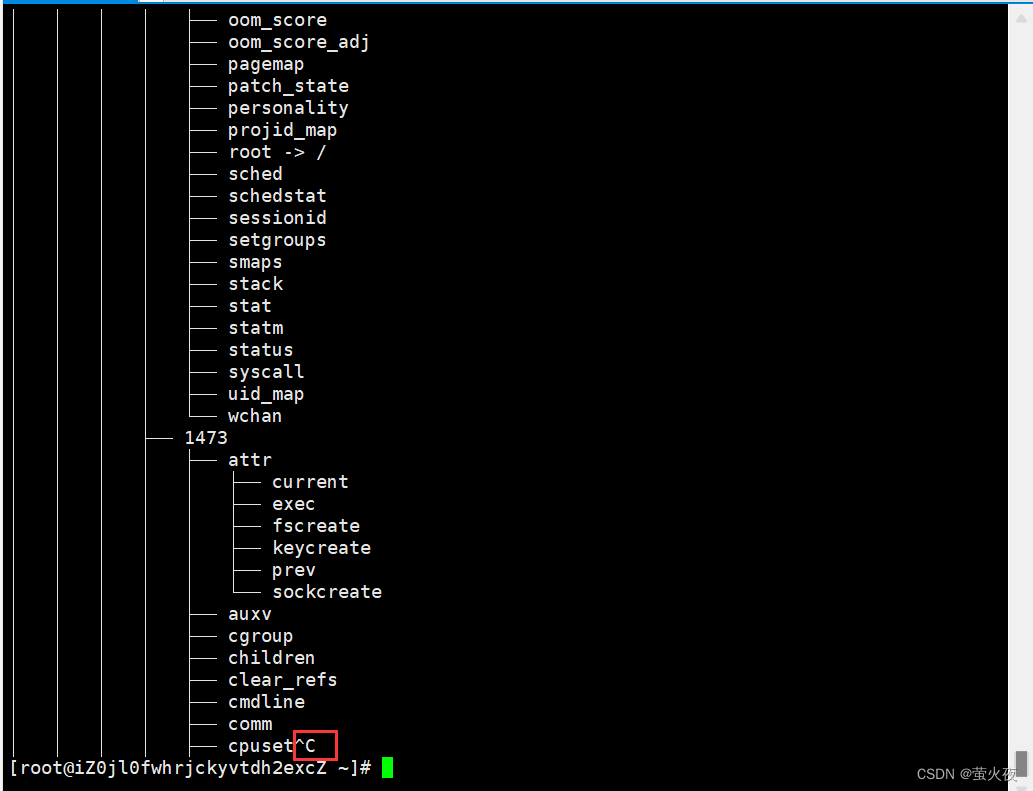 linux基本指令_linux系统中,新建用户user01,并为用户设置密码为123456的命令是( )-CSDN博客