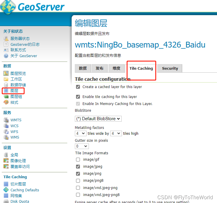 geoserver发布wmts服务并使用arcgis js4.x调用_geowebcache端口修改-CSDN博客