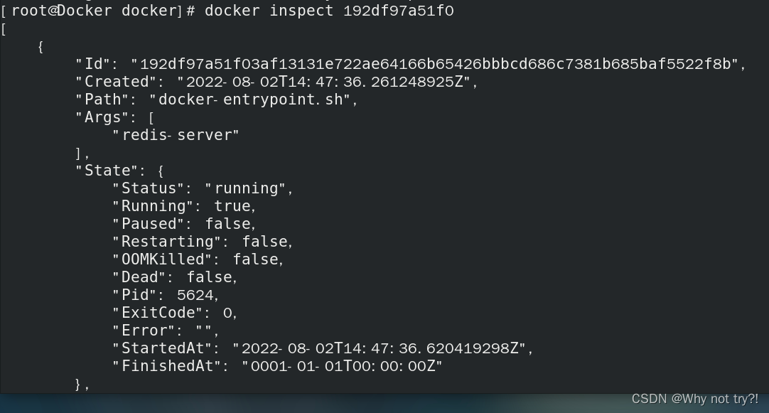 Docker基础（五）—容器命令_docker run -it --name-CSDN博客