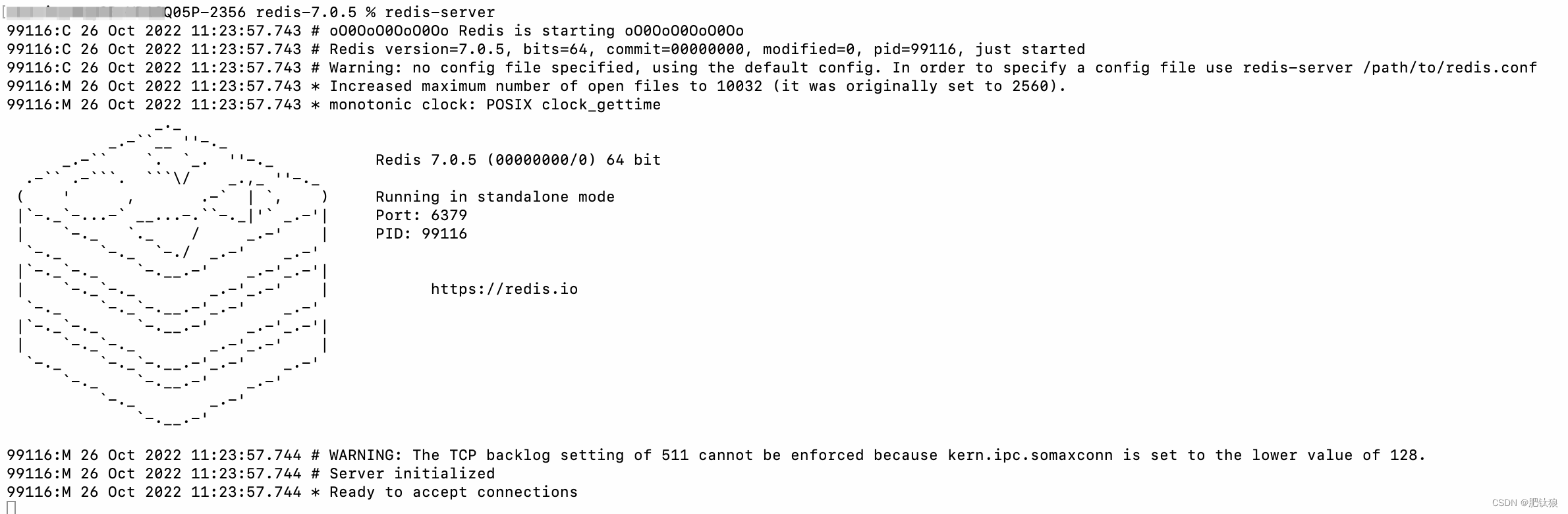 Mac安装Redis和Redis客户端安装（RESP）_resp下载-CSDN博客