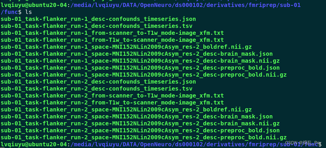 fMRI数据处理_预处理_3_批处理和结果解读_fmriprep-CSDN博客