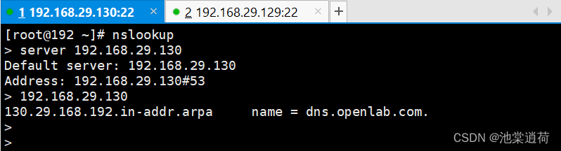 RHCE练习三---配置dns服务器实现正反向解析_red hat配置dns服务器并用nslookup做正反向解析-CSDN博客