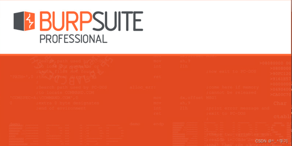 Burpsuite 简单使用教程-kali系统_kali burp-CSDN博客
