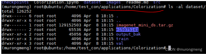 Colorization自动着色_userwarning: color data out of range: z