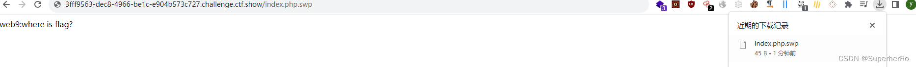 CTFSHOW系列-web9(信息收集-swp泄露)_ctfshow web9-CSDN博客