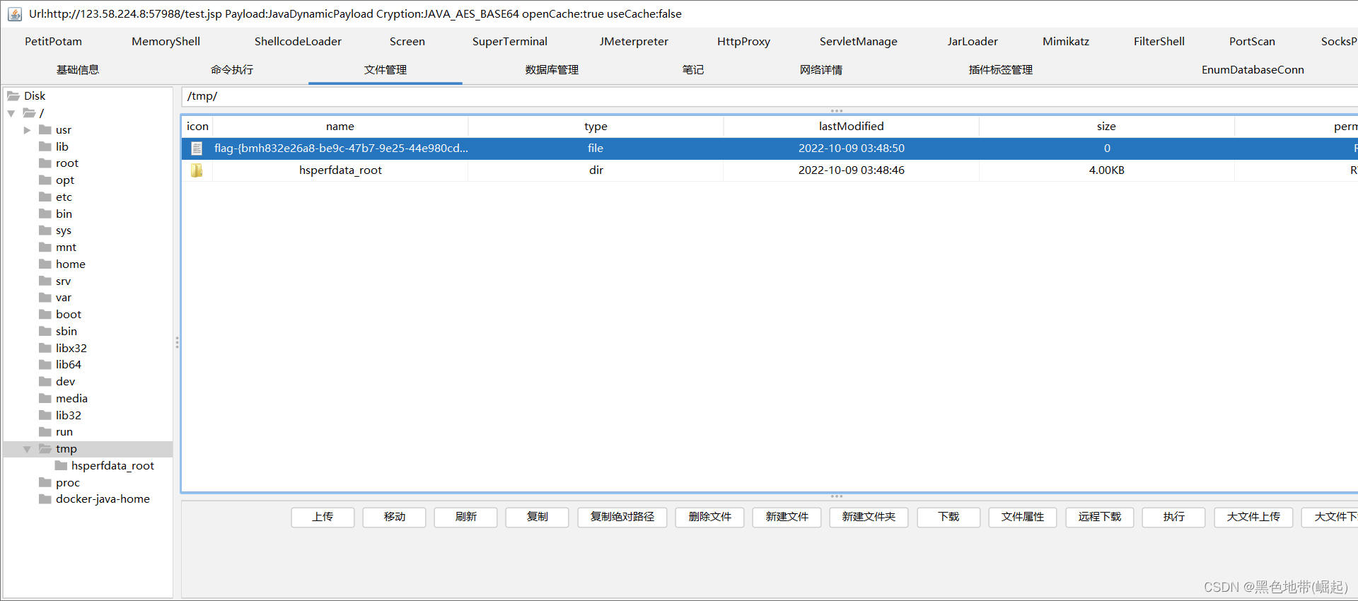 【后门工具】哥斯拉，YYDS#-CSDN博客