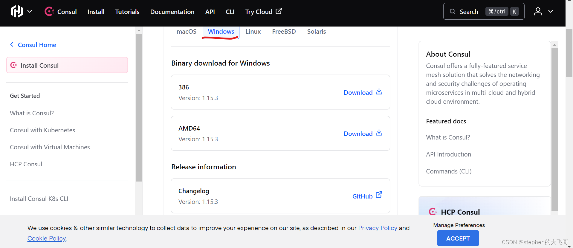 consul 下载_consul下载-CSDN博客