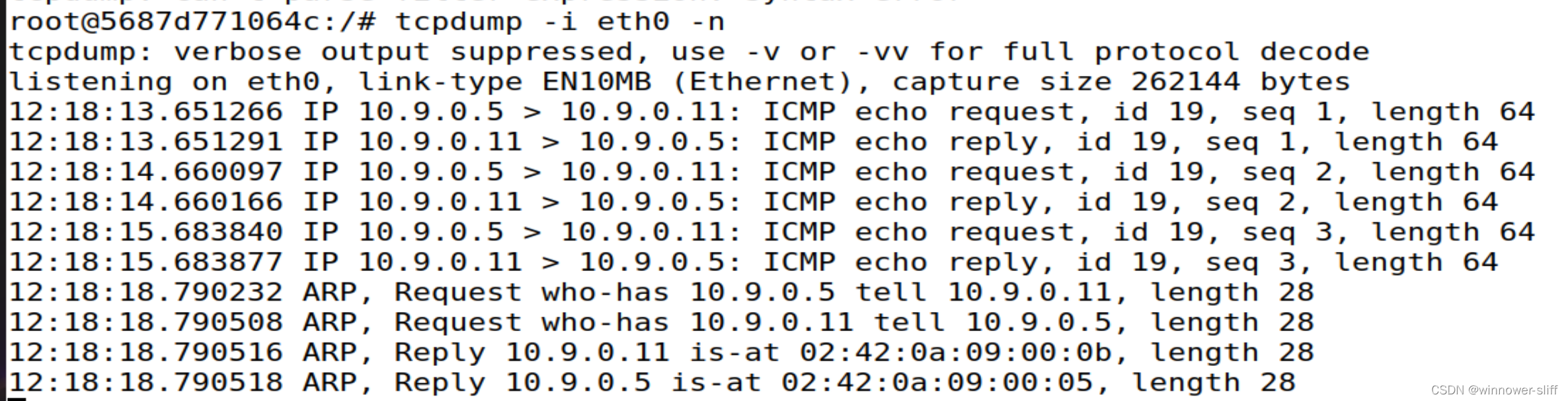 V*N Lab: The Container Version(SEED Labs)_seedlab:virtual private network lab-CSDN博客