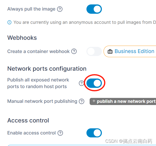 在portainer里，采用容器技术，搭建WordPress个人博客_portainer 安装worldpress-CSDN博客