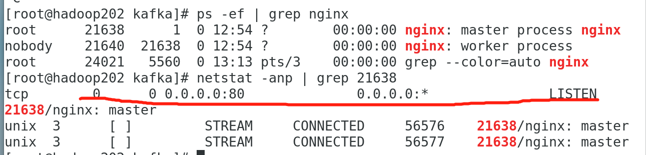 Nginx，Kafka，Zookeeper的实操端口问题_kafka的连接端口配置怎么看-CSDN博客