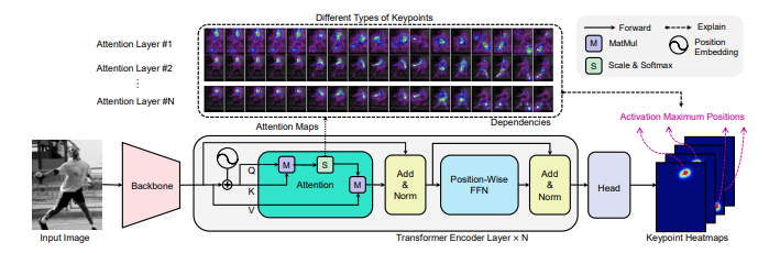 [论文阅读：姿态识别&Transformer] TransPose: Keypoint Localization via Transformer 2021 ICCV-CSDN博客