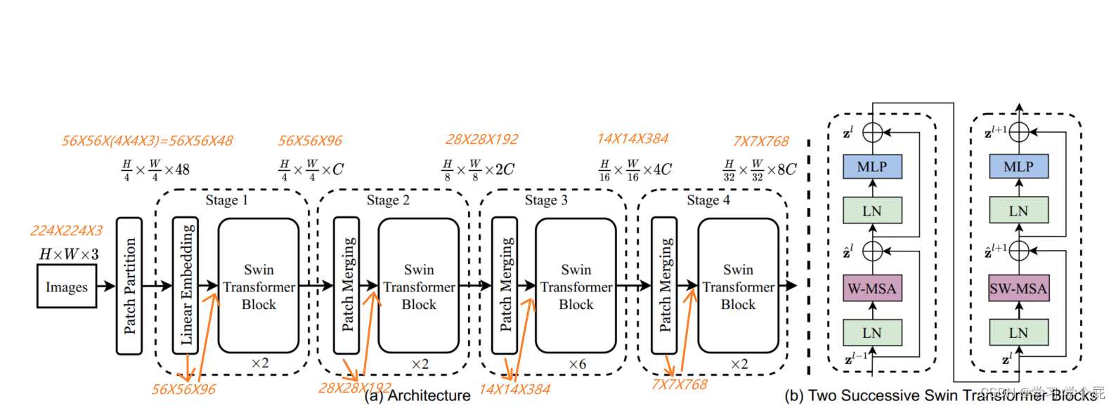 Swin-Transformer笔记_swin transformer patch merging-CSDN博客