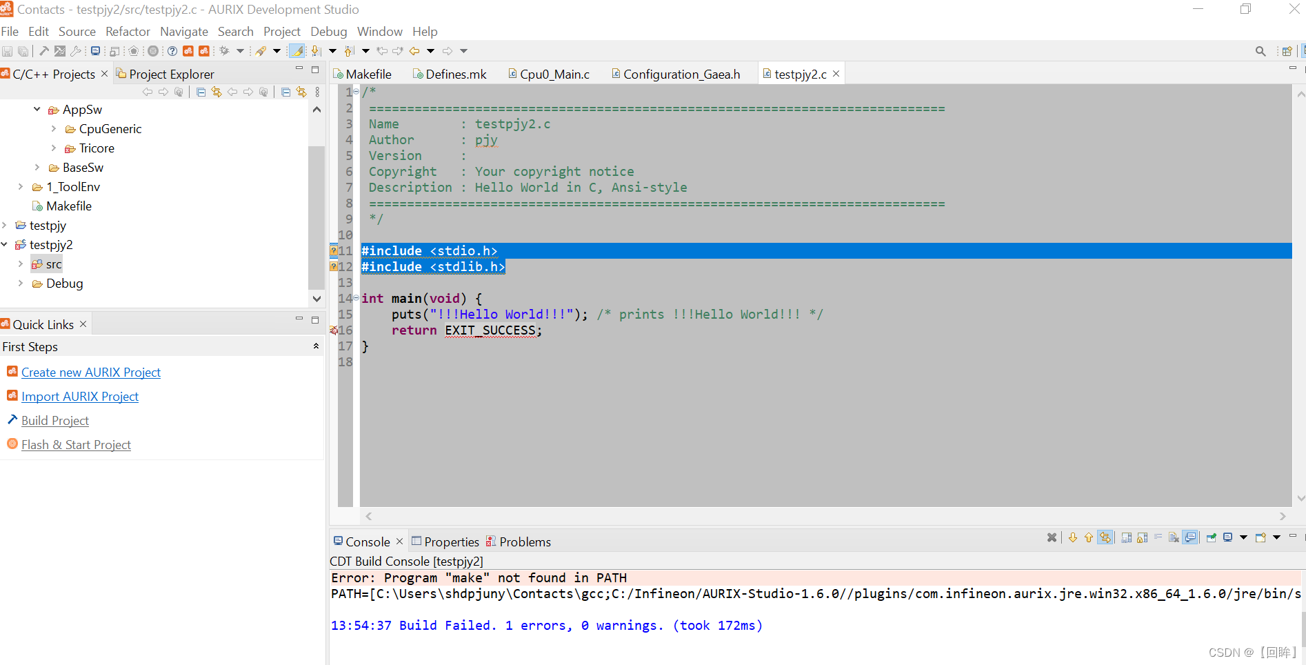 【回眸】写篇博客记录一下嵌入式软件实习萌新的具体工作之使用AURIX Development Studio编译-CSDN博客