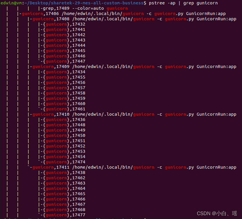 python3 gunicorn配置文件详解_gunicorn 配置文件-CSDN博客