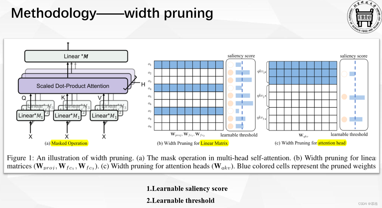 Width & Depth Pruning for Vision Transformers-CSDN博客