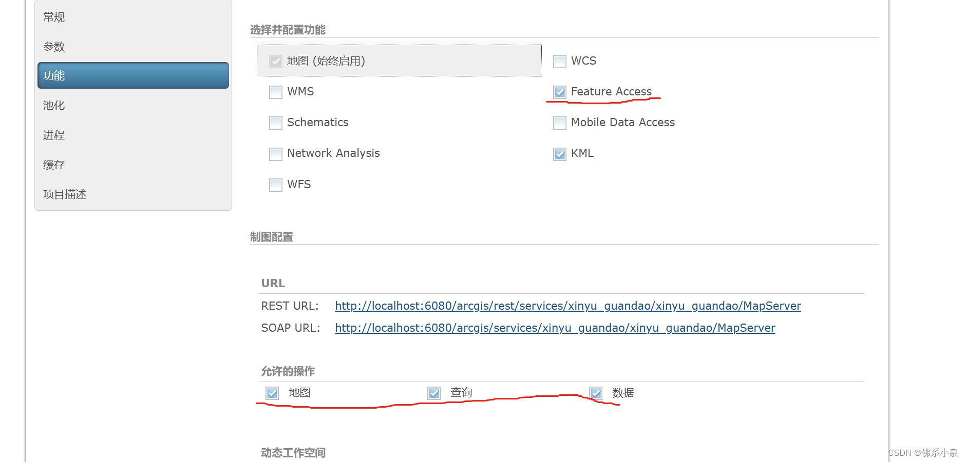 Arcgis server Feature access启用-CSDN博客