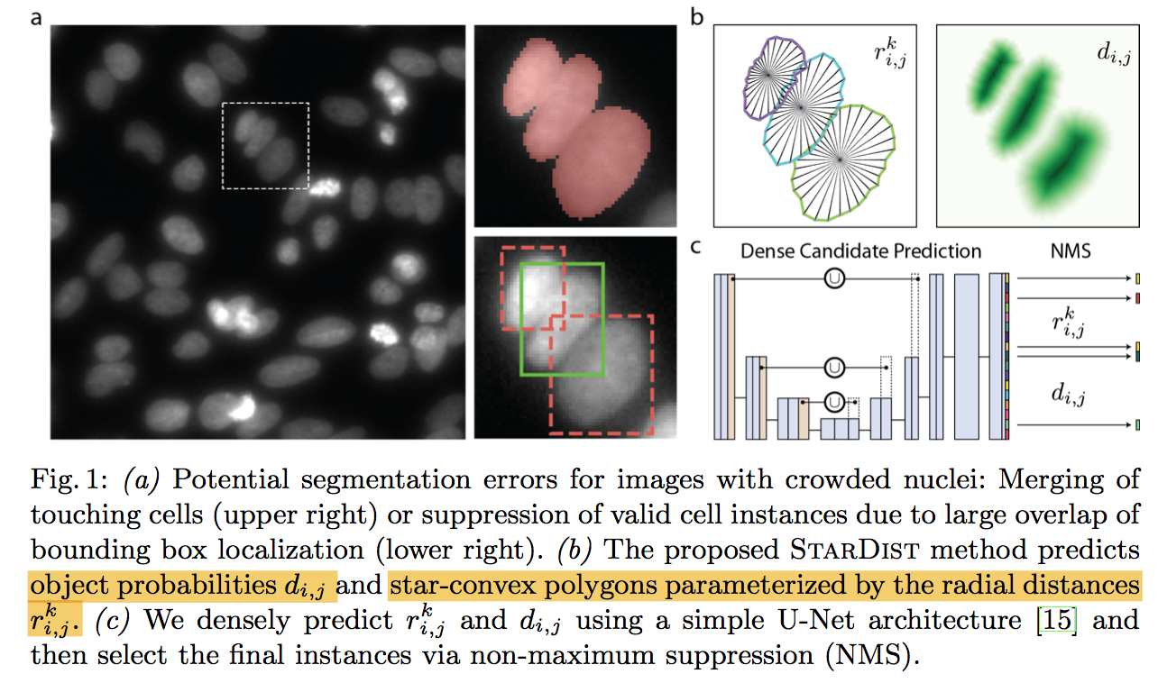 论文笔记：MICCAI2018 Cell Detection with Star-convex Polygons-CSDN博客