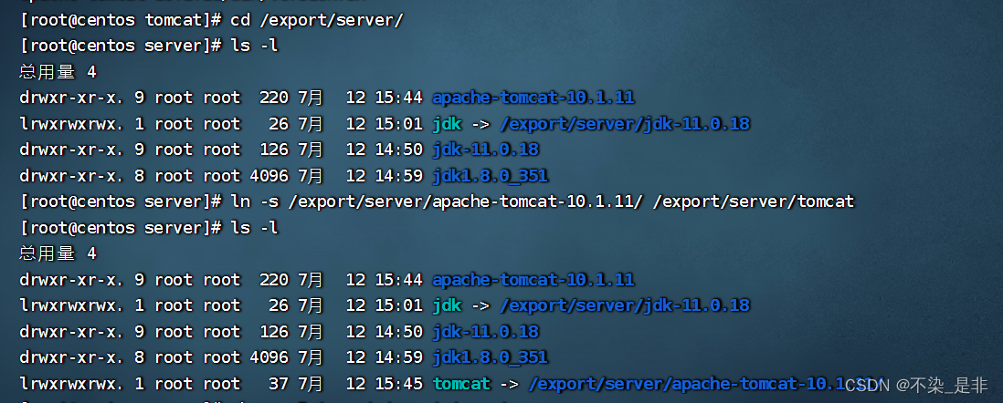 centos安装部署Tomcat（10.1）手把手教程_tomcat10.1-CSDN博客