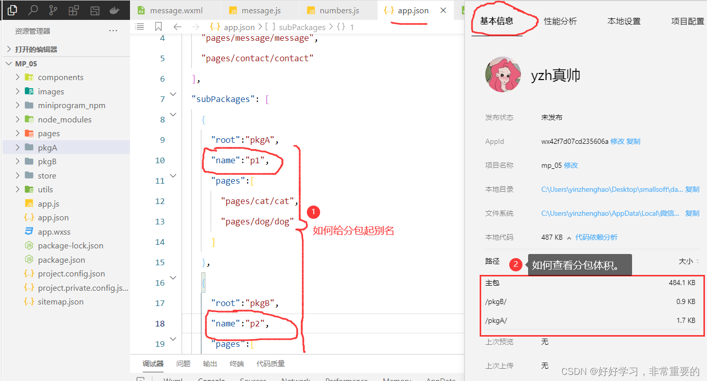 Day10--分包的基本用法-CSDN博客