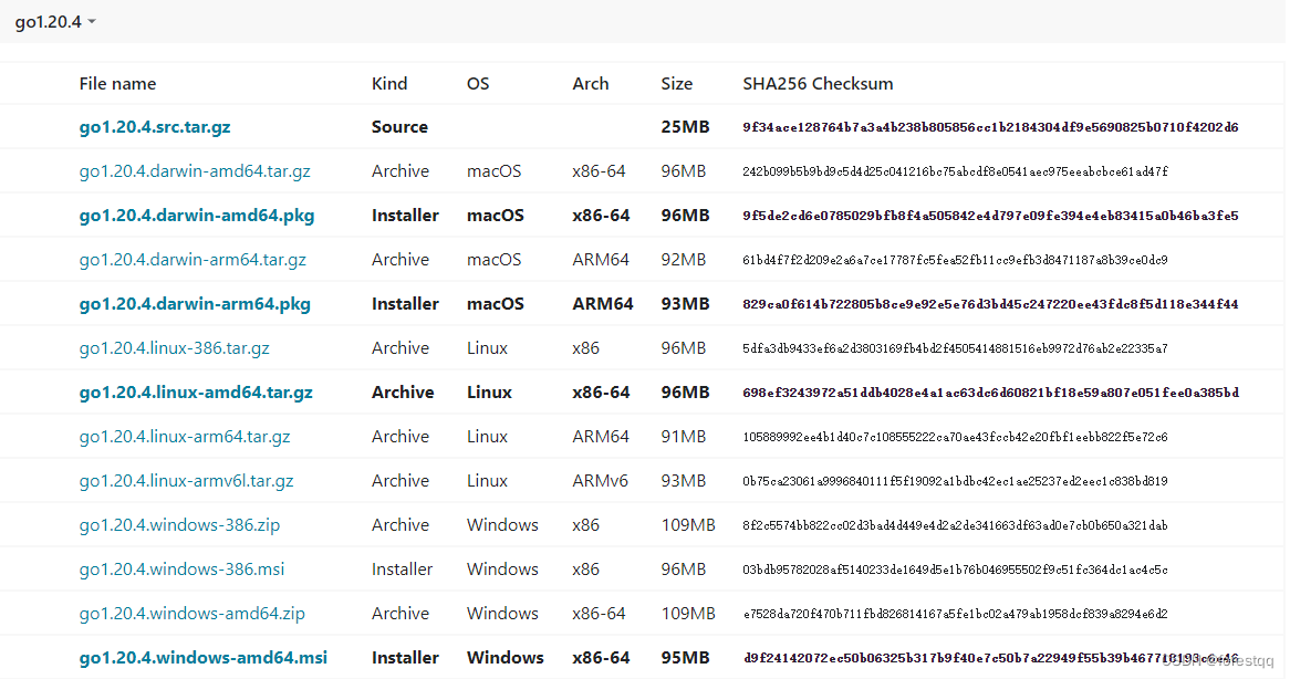 在openEuler 22.03 LTS系统上构建golang环境_openeuler安装golang-CSDN博客