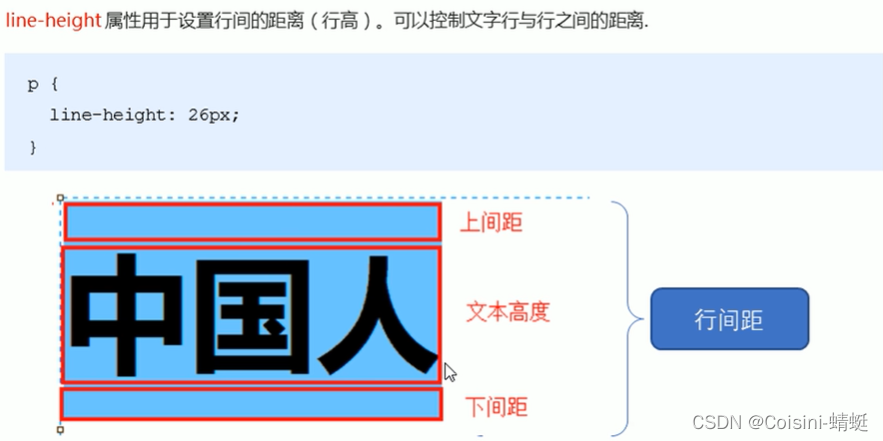 CSS层叠样式表-Day3-CSDN博客
