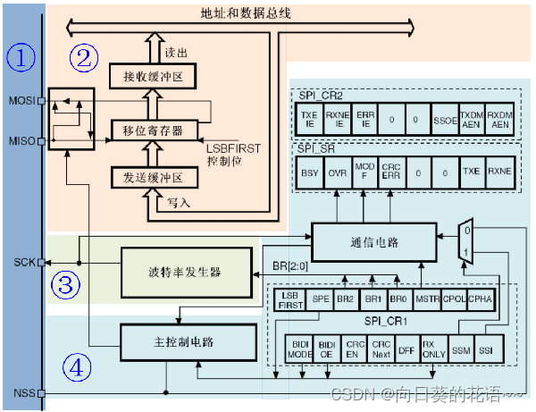 STM8 学习笔记15：SPI_stm8 模拟spi速率-CSDN博客