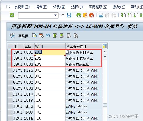 SAP WM简单入门-CSDN博客