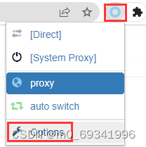 如何在 SwitchyOmega 中使用 YiLuProxy？_普通网友的博客-CSDN博客