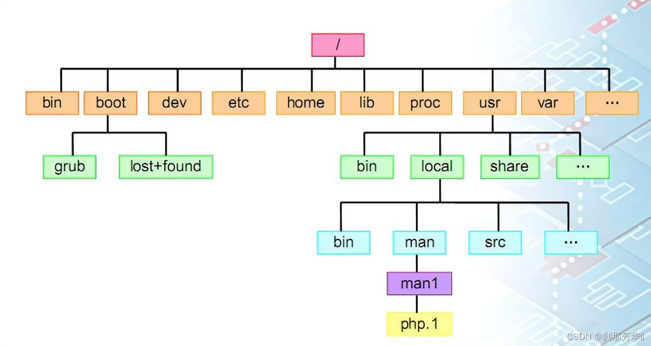 Linux02目录结构linux用户home目录下是系统盘么 Csdn博客