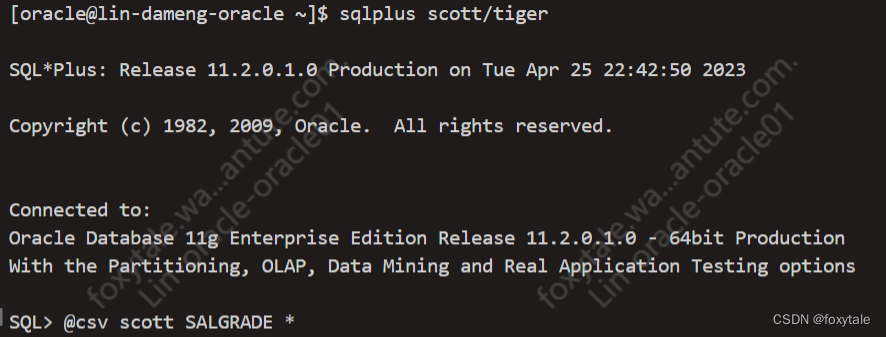 oracle生成csv数据的脚本_shell脚本oracle每天生成csv文件-CSDN博客