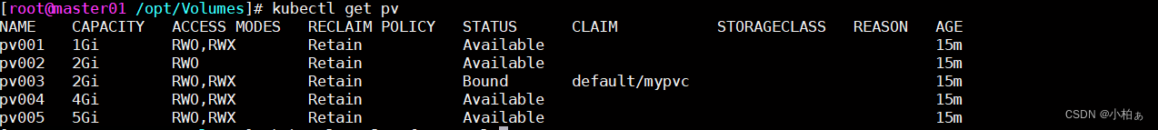 K8s存储管理——volume、pv、pvc_pvc的剩余磁盘怎么看-CSDN博客