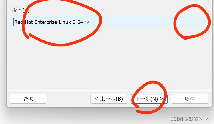 安装redhat9的步骤要有rhel 93 X8664 Dvdiso这个安装包rhel93 Iso Csdn博客