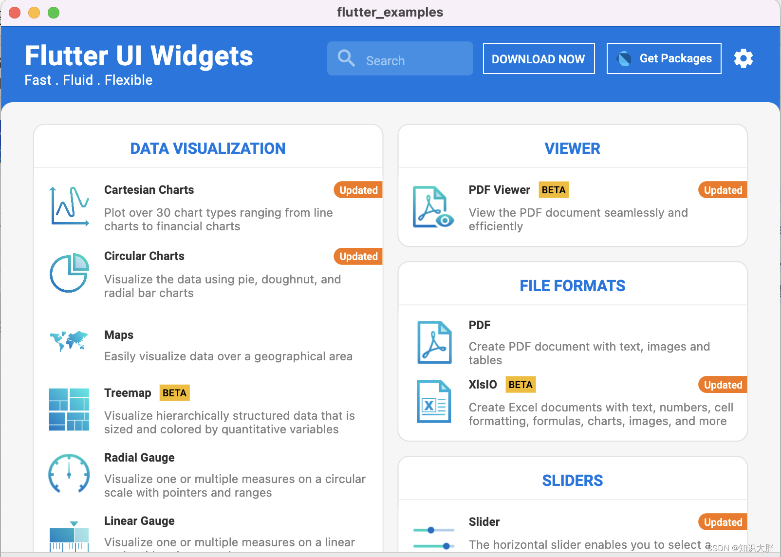 Flutter DataGrid教程之表格图标日历Excel完整App源码（教程含源码）_flutter excel-CSDN博客