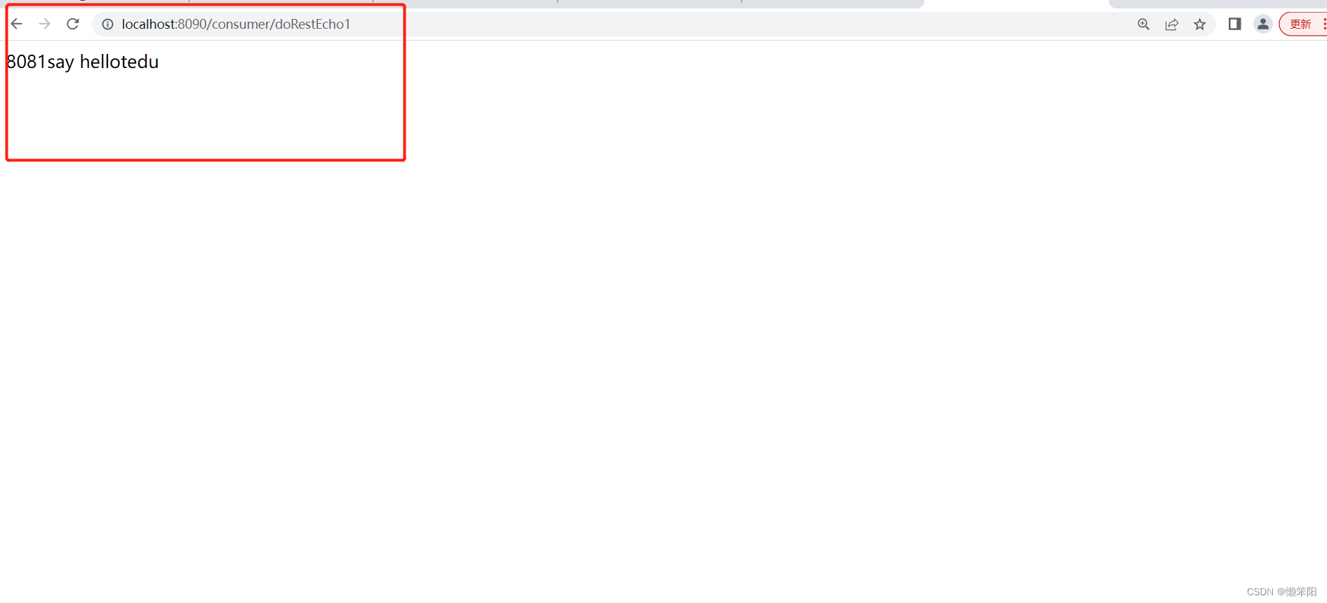 Nacos服务注册中心_nacos his_config_info_懂Java的懒阳阳的博客-CSDN博客