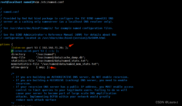 DNS之Bind配置命令_bind 编辑数据配置文件-CSDN博客